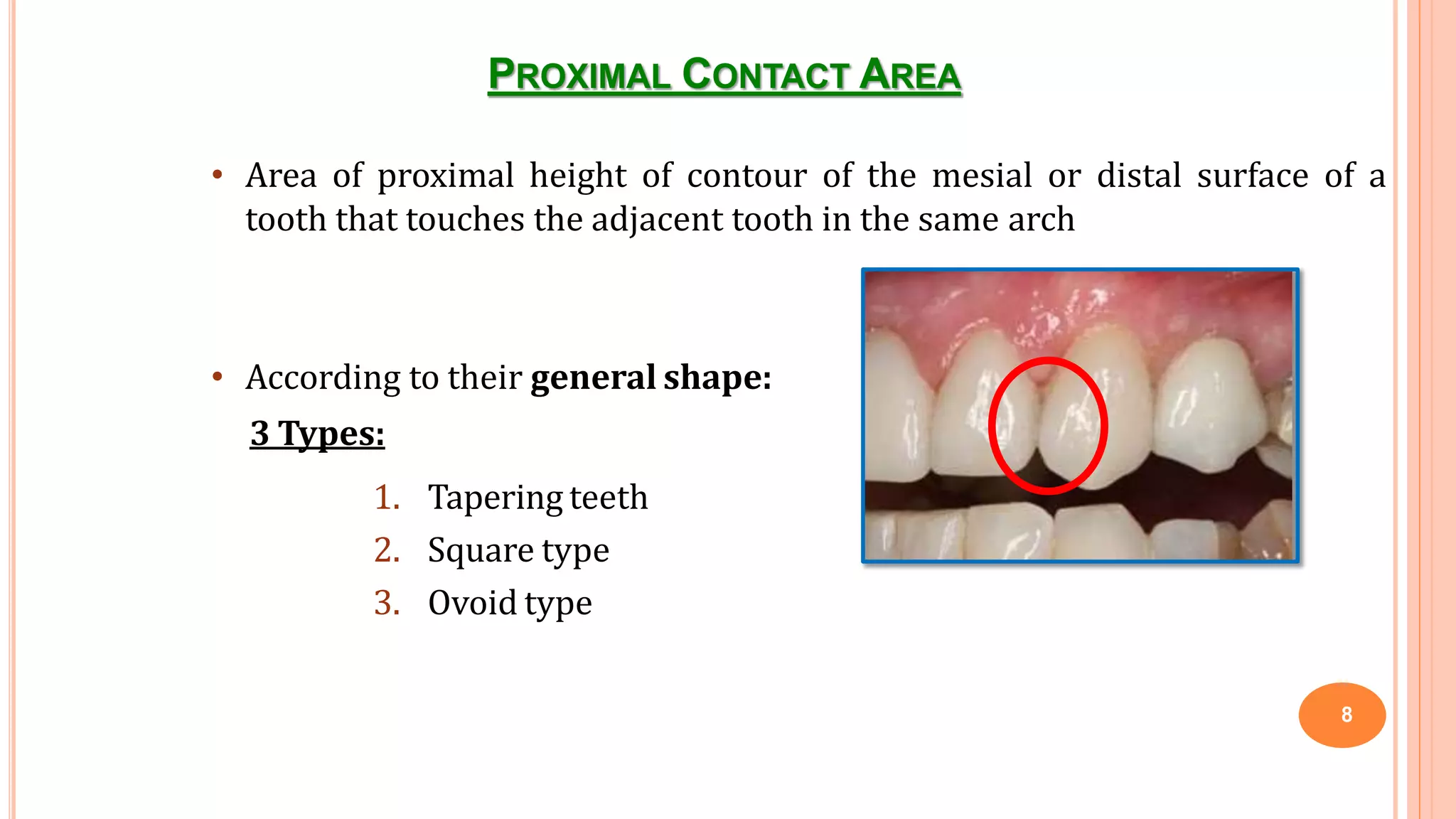 Contacts and contours | PPTX