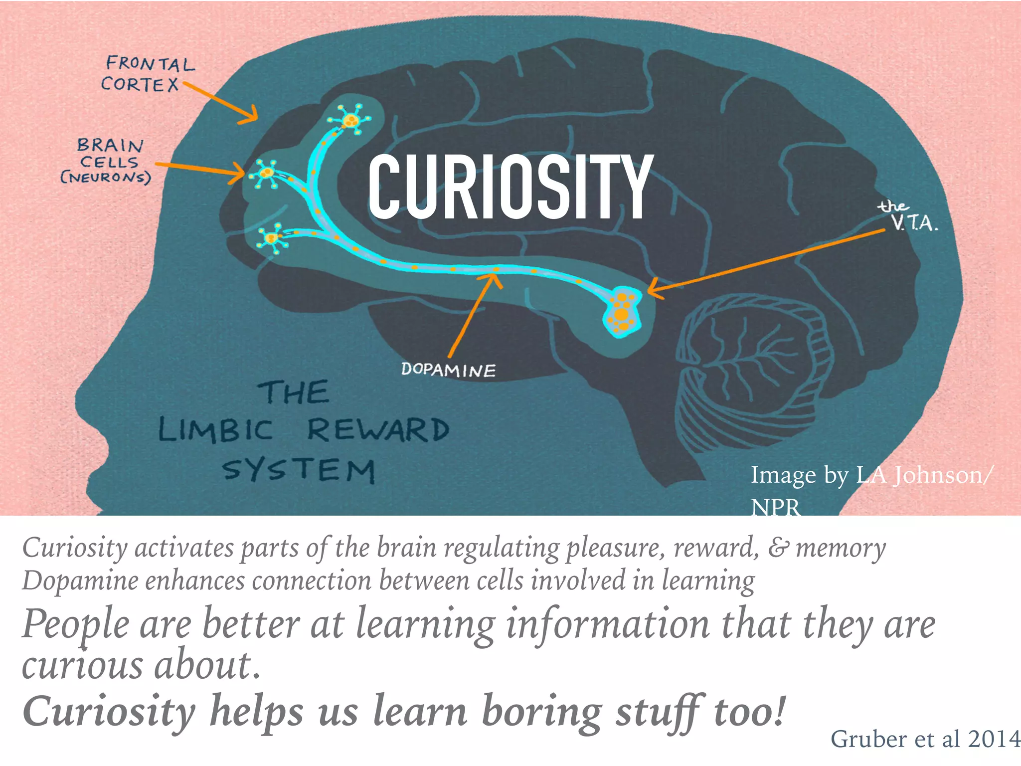 Coming To Our Senses: How Contemplative Education Can Transform Our ...