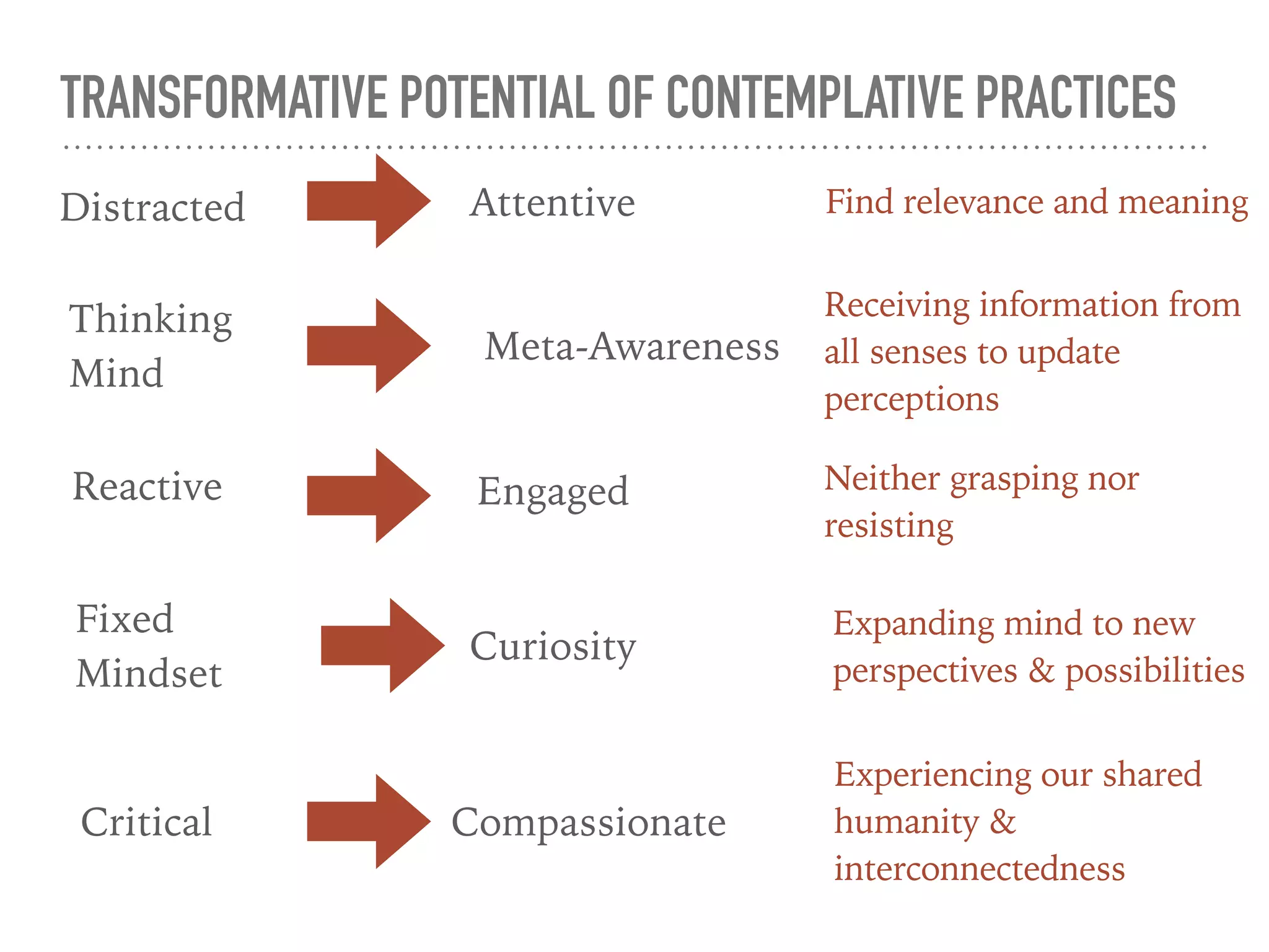 Coming To Our Senses: How Contemplative Education Can Transform Our ...