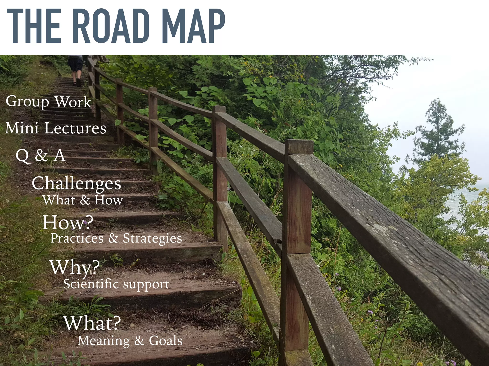 Coming To Our Senses: How Contemplative Education Can Transform Our ...