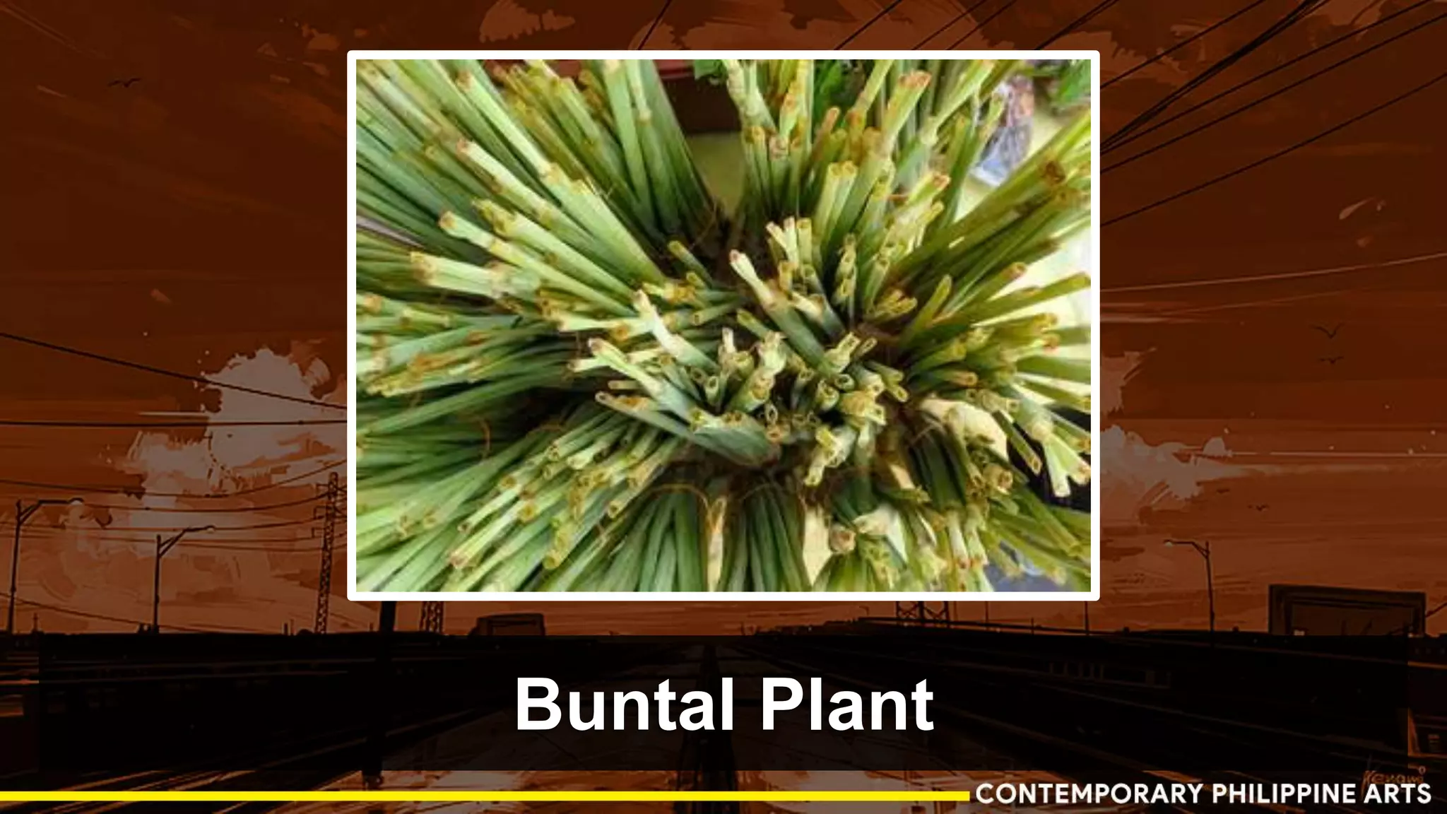 Contemporary Philippine Arts from the Regions - Local Materials | PPTX