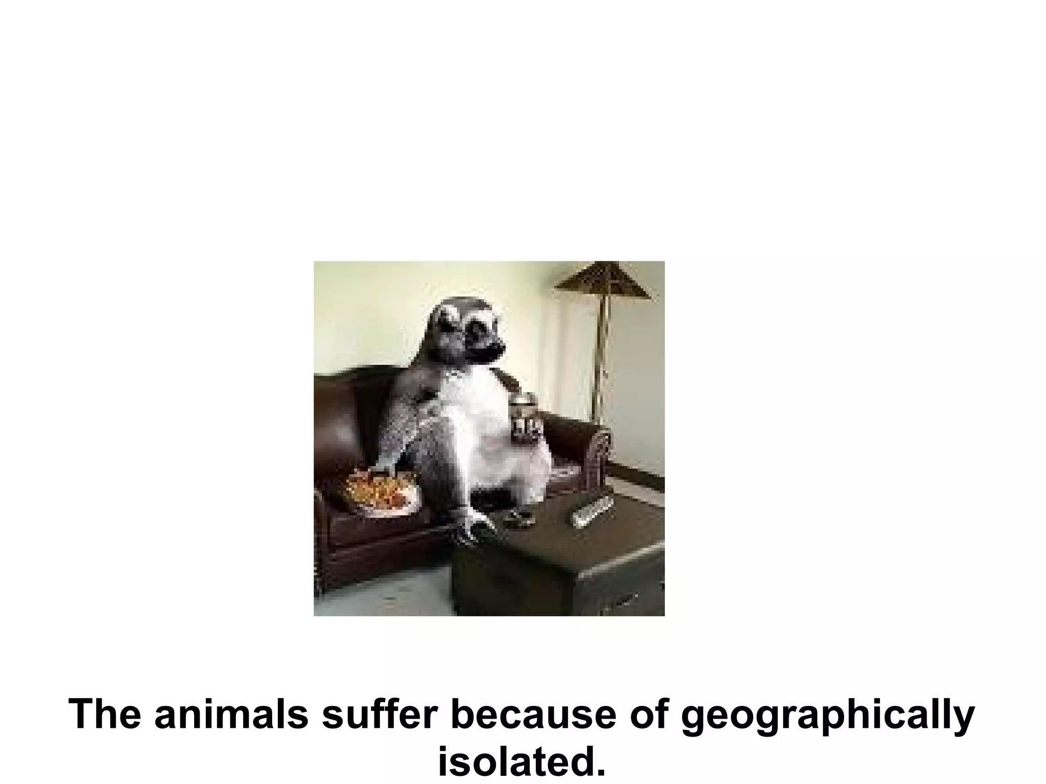 Contemporary existing occurring_or_living_at | PPT