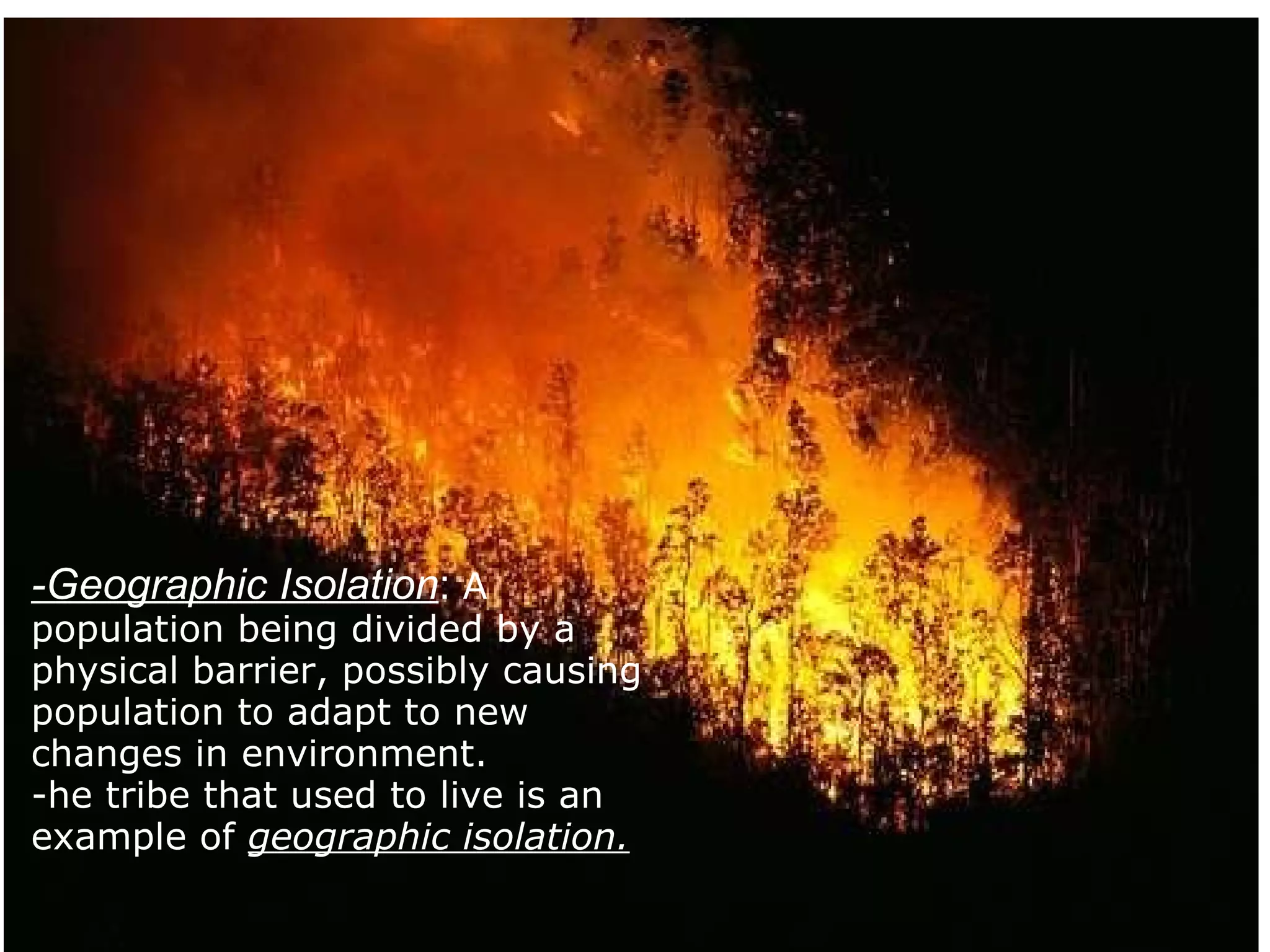 Contemporary geographic isolated_people | PPT