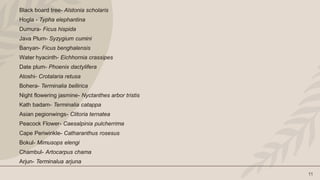 Contemporary Systematic Nomenclature.pdf