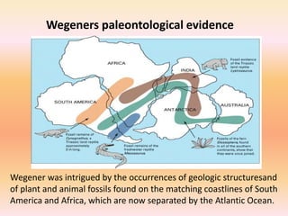 Contenental drift theory by Anurag Yadav | PPT