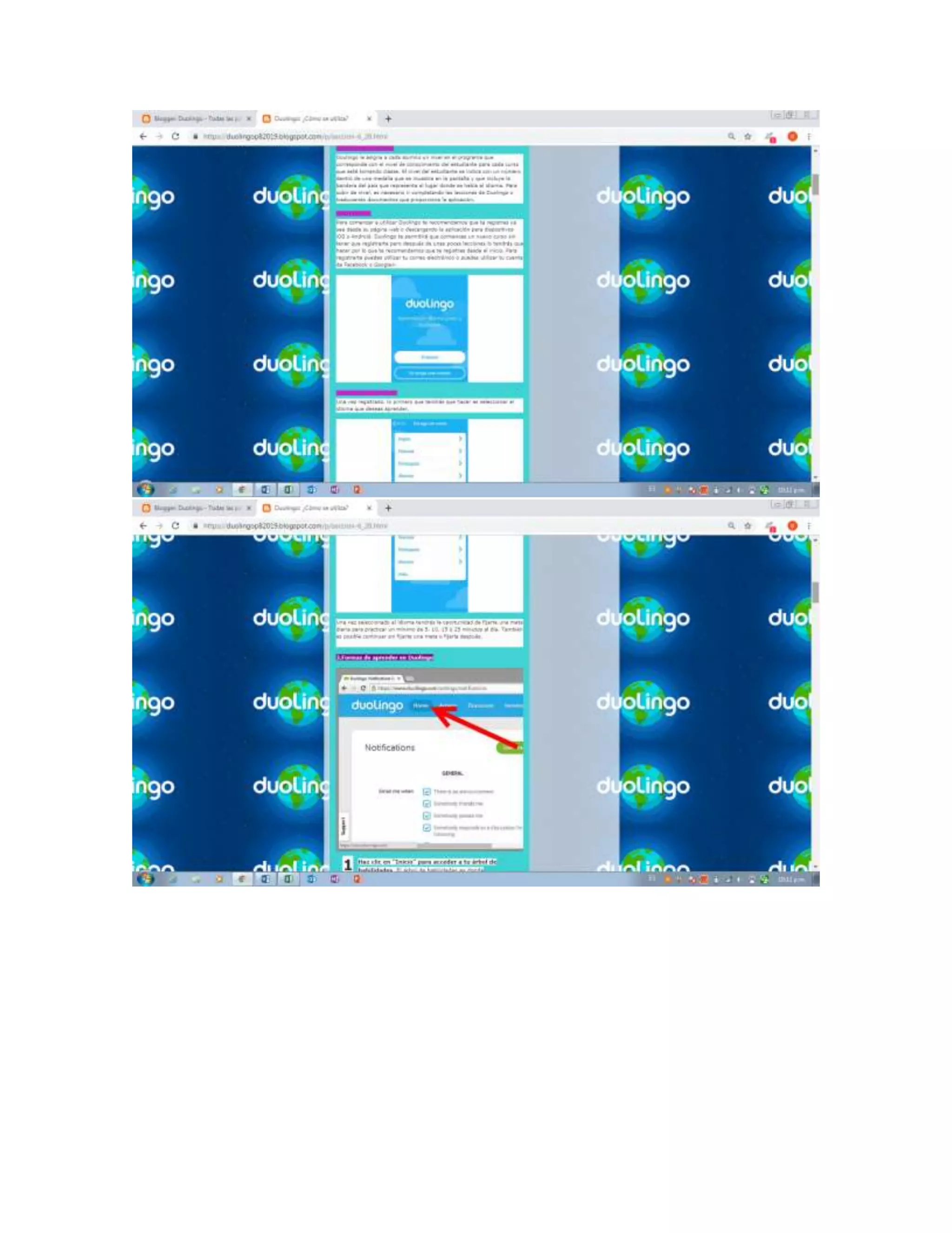 Contenido de la integradora | PDF