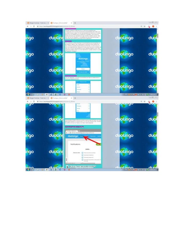 Contenido de la integradora | PDF