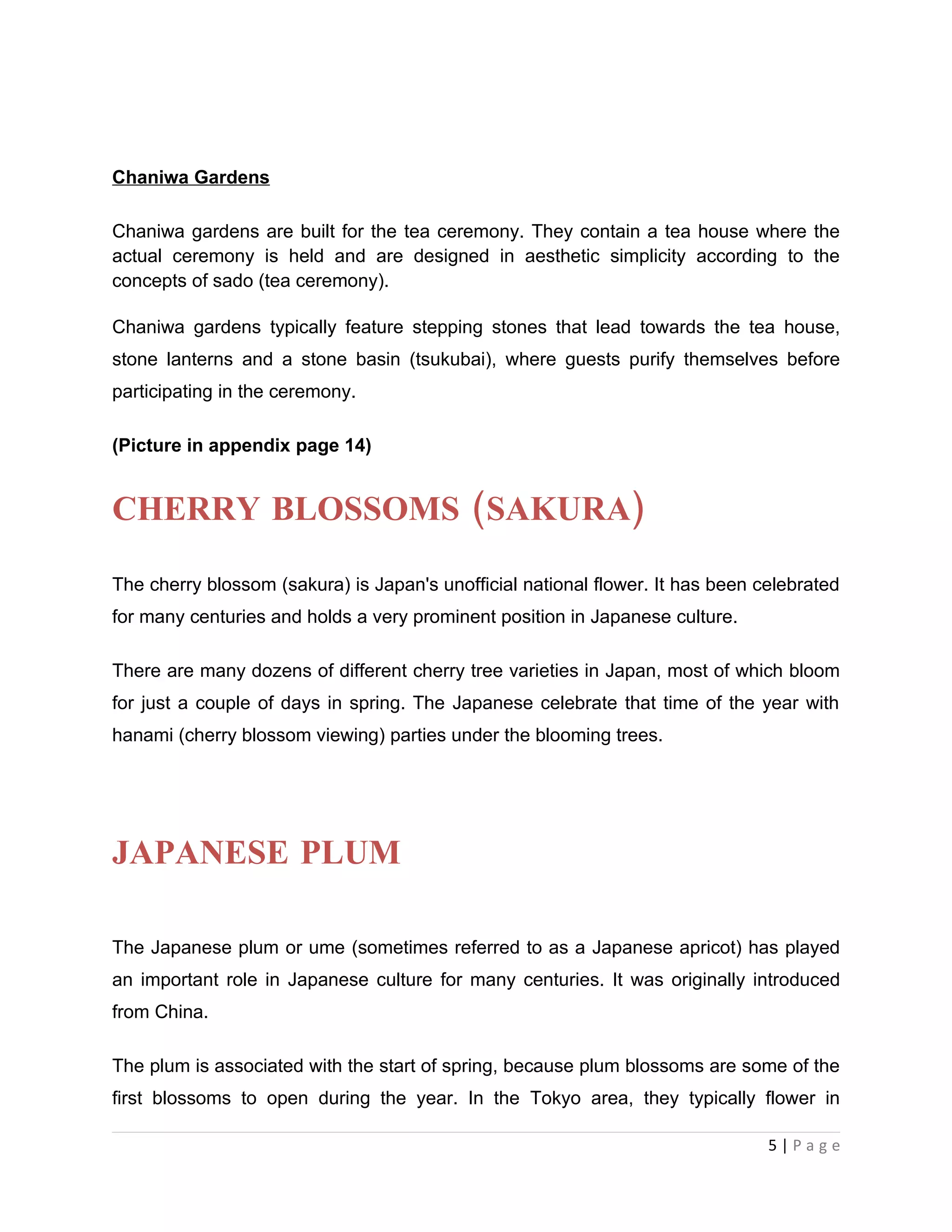 Japan Culture | DOC