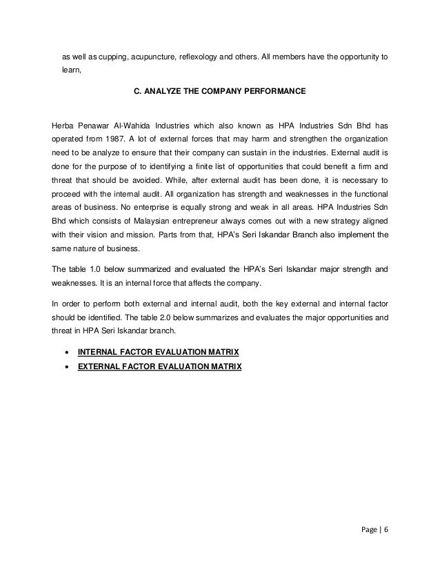 Example of Company Performance Analysis