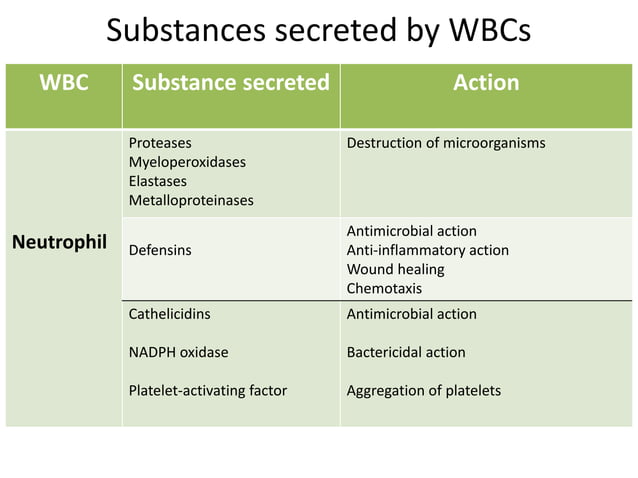 pathological variation in WBC | PPTX