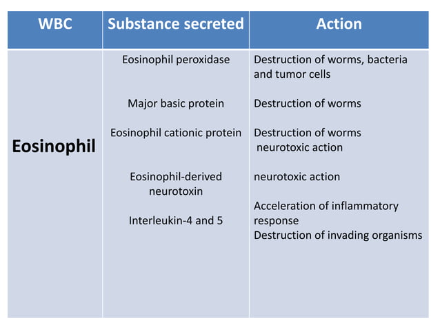 pathological variation in WBC | PPTX