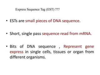ESTs: Expressed gene fragment tags and their types | PPT