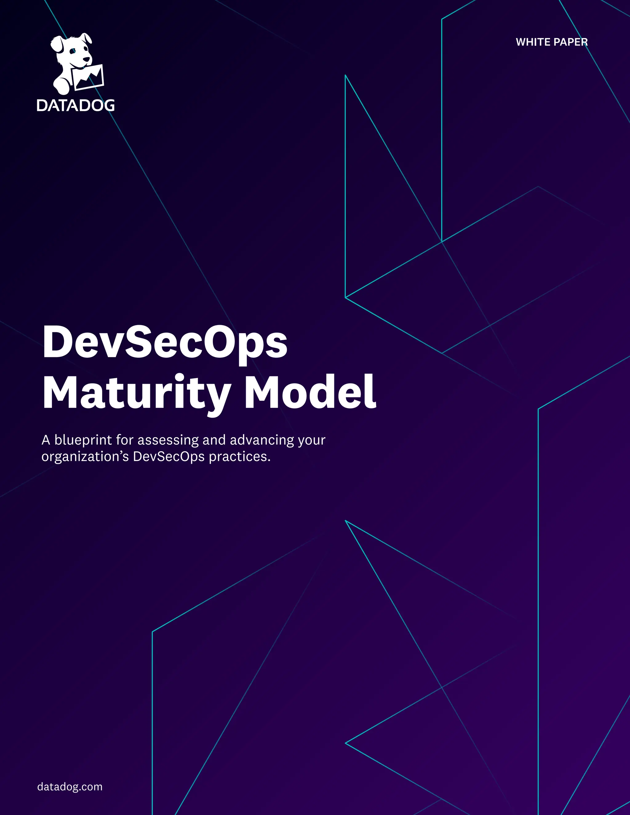 DevSecOpsMaturityModel.pdf