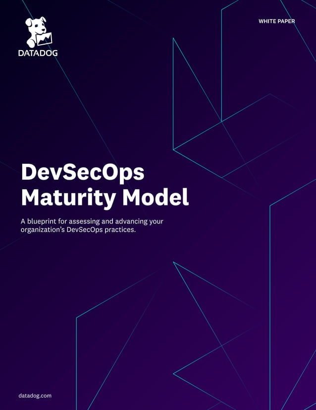 DevSecOpsMaturityModel.pdf