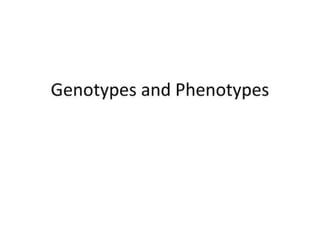 Genotypes: Genetic makeup of an organism | PPT