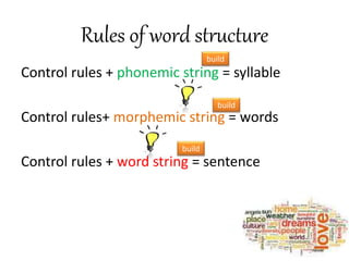 Content and function words | PPTX | Science