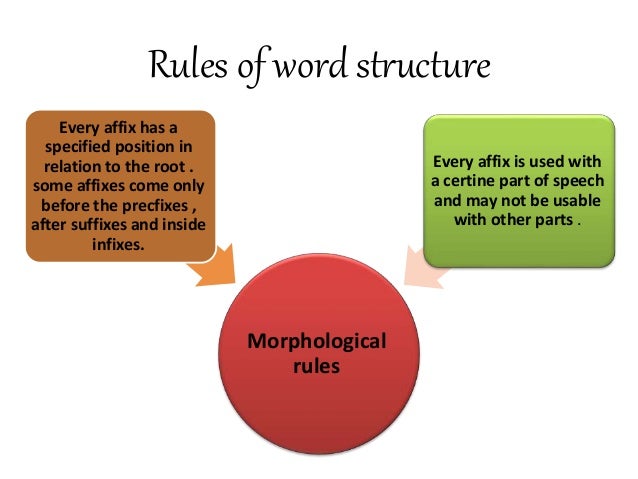 Content and function words