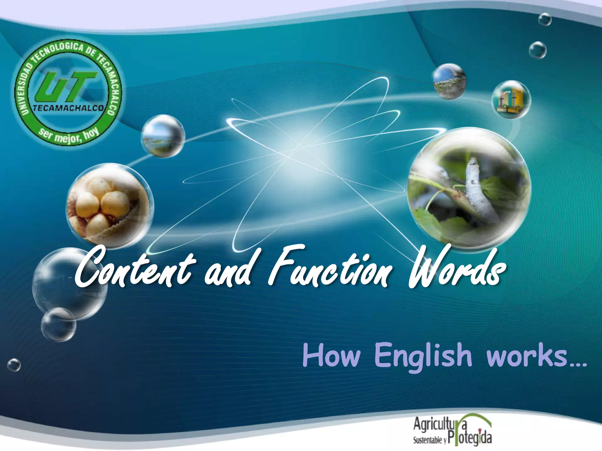 Content and function words | PPSX