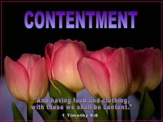 Contentment | PPS