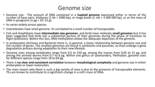 Content of the genome | PPTX