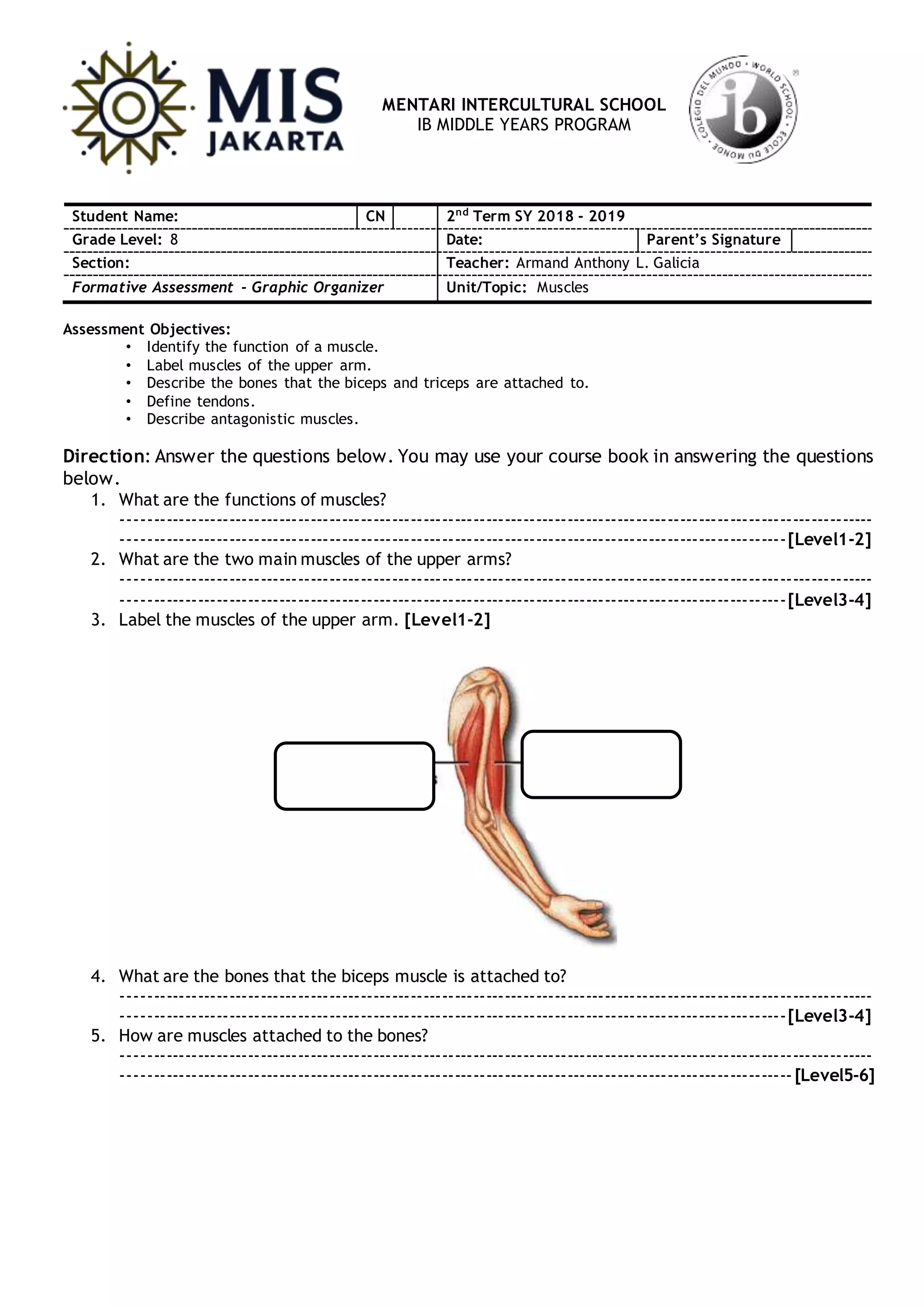 Content organizer muscles | DOCX