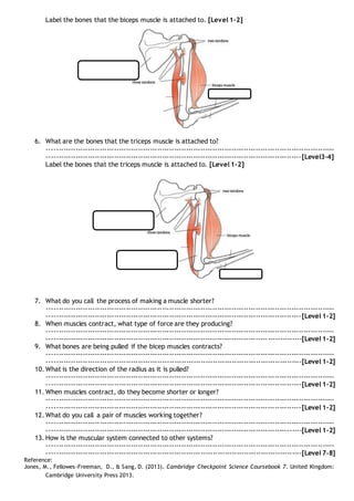 Content organizer muscles | DOCX