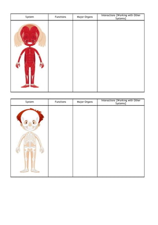 Content Organizer - the body systems | DOCX