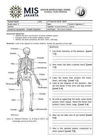 Content organizer the human skeleton | DOCX | Bone and Joint Conditions ...