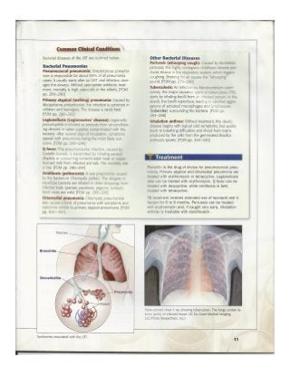 Infectious Diseases by Body Systems | PDF