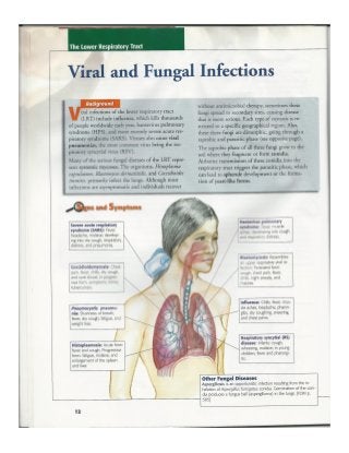Infectious Diseases by Body Systems | PDF