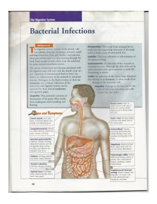 Infectious Diseases by Body Systems | PDF