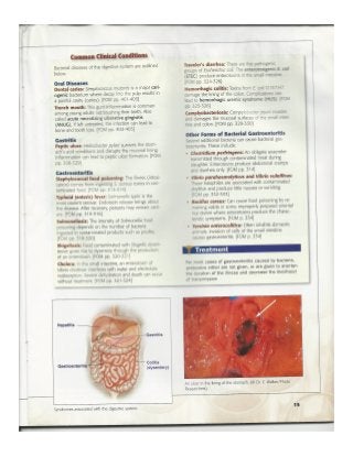 Infectious Diseases by Body Systems | PDF