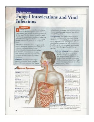 Infectious Diseases by Body Systems | PDF