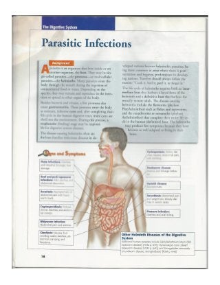 Infectious Diseases by Body Systems | PDF