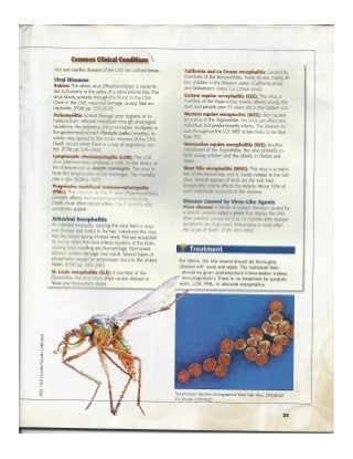 Infectious Diseases by Body Systems | PDF