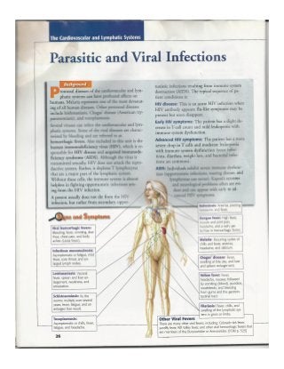 Infectious Diseases by Body Systems | PDF