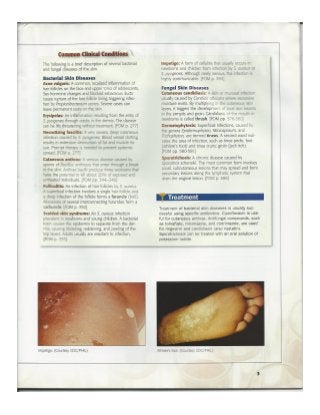 Infectious Diseases by Body Systems | PDF