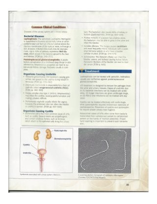 Infectious Diseases by Body Systems | PDF