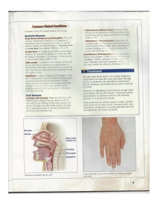 Infectious Diseases by Body Systems | PDF