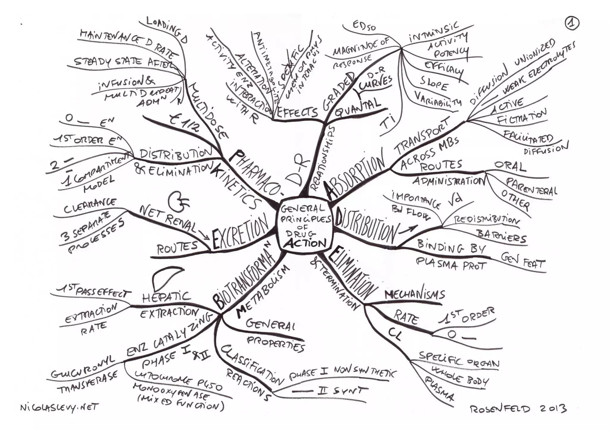 Mind maps pharmacology rosenfeld | PPT