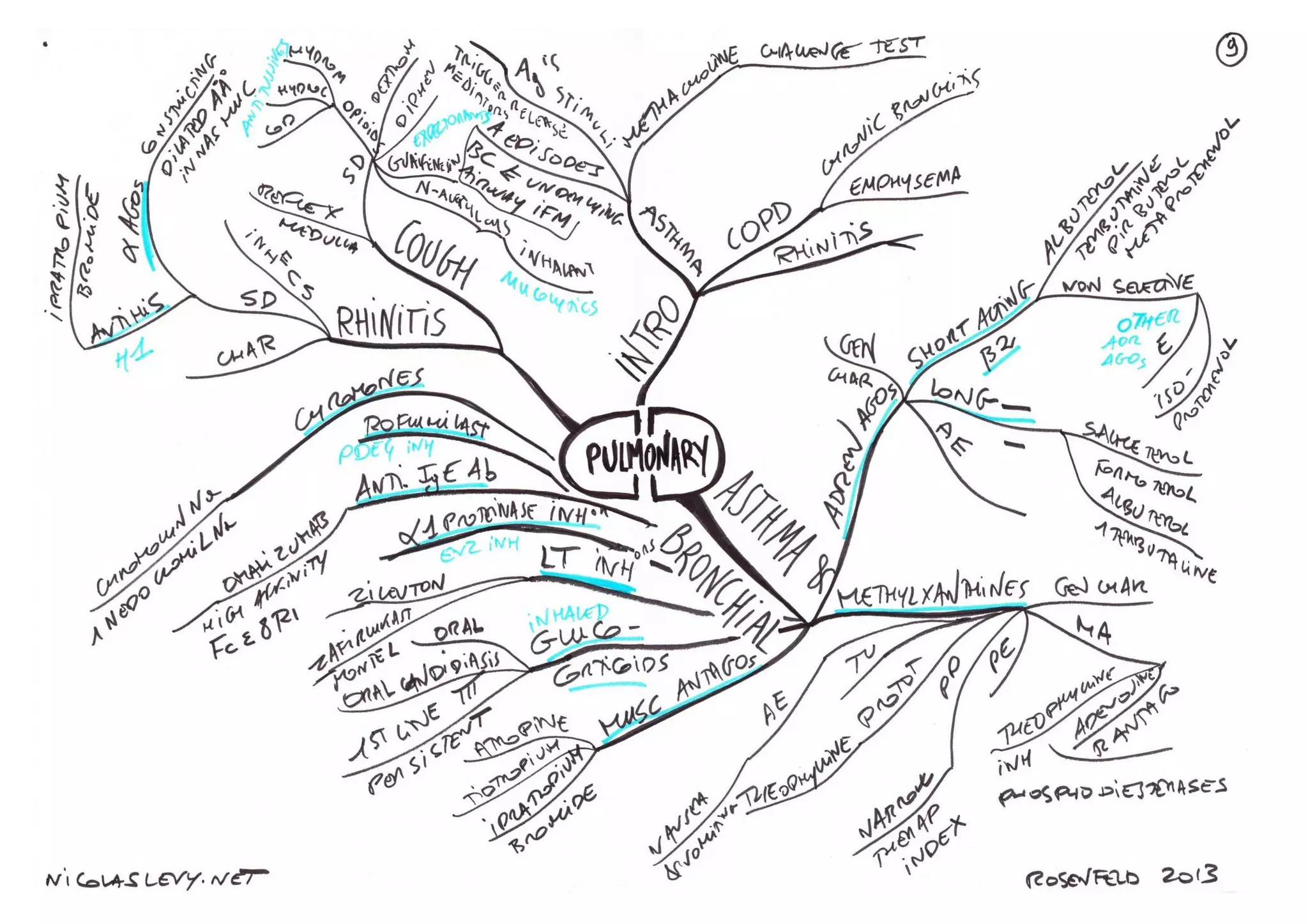 Mind maps pharmacology rosenfeld | PPT