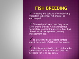Aquaculture and Research | PPT