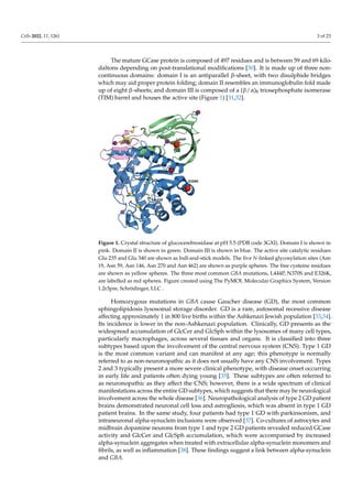 ContentServer.pdf