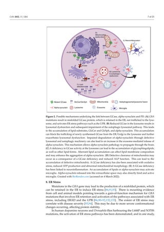 ContentServer.pdf | Brain and Nervous System Disorders | Diseases and Conditions