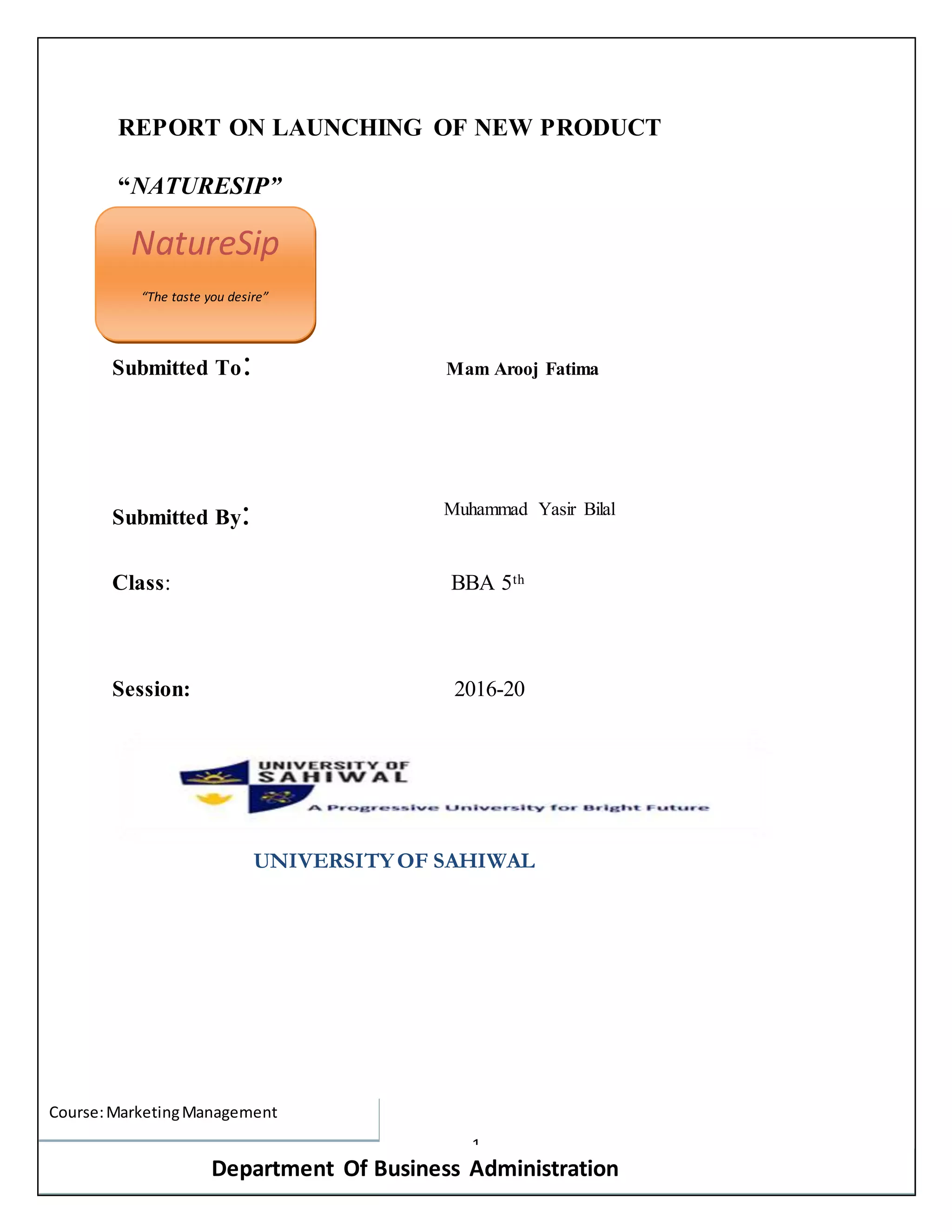 Report On launching new product | DOCX