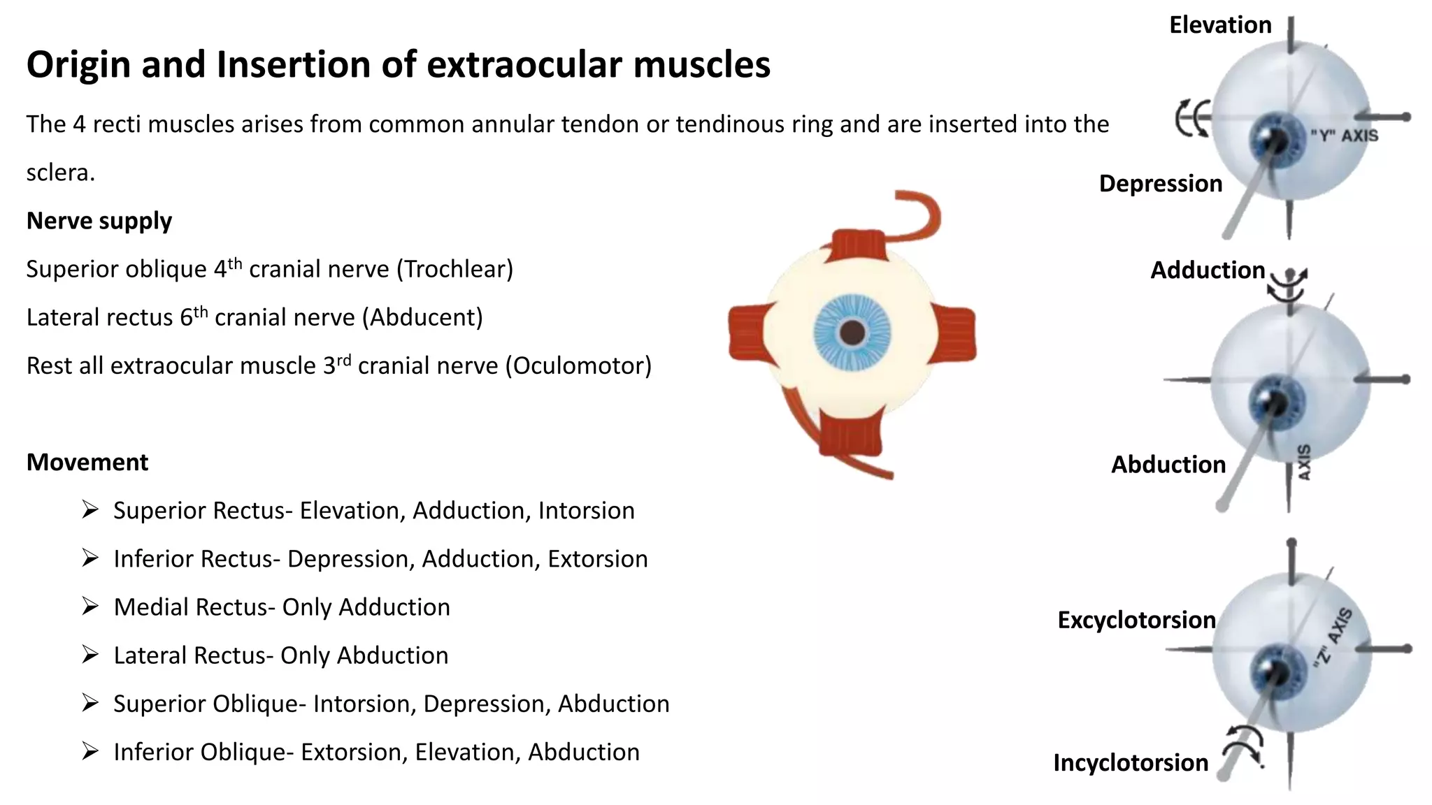 Contents of orbit | PPTX