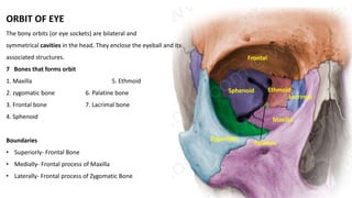 Contents of orbit | PPTX