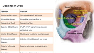 Contents of orbit | PPTX