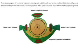 Contents of orbit | PPTX