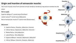 Contents of orbit | PPTX